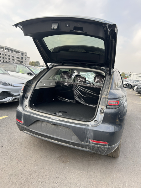 Leapmotor C11 hybrid