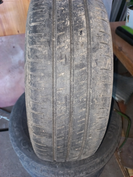 автошины 195 55 r 15 от лассети