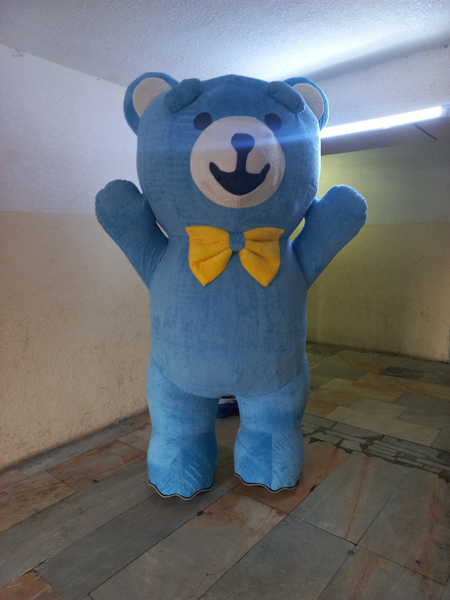 Ayiqlar xizmatlari. Teddy_shou1