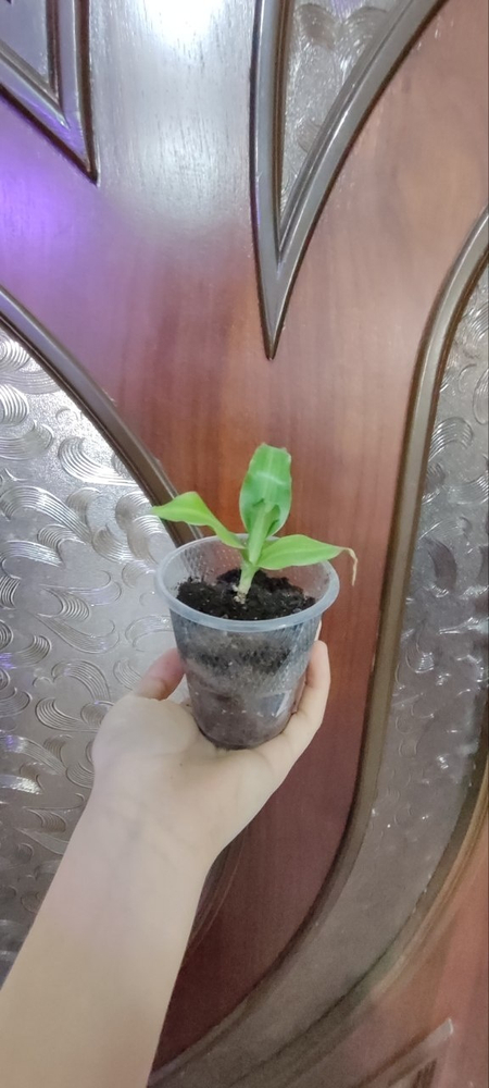 Продаю свои излишки