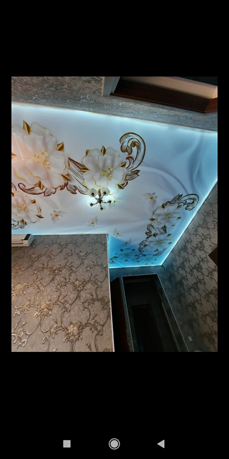 Натяжной паталок