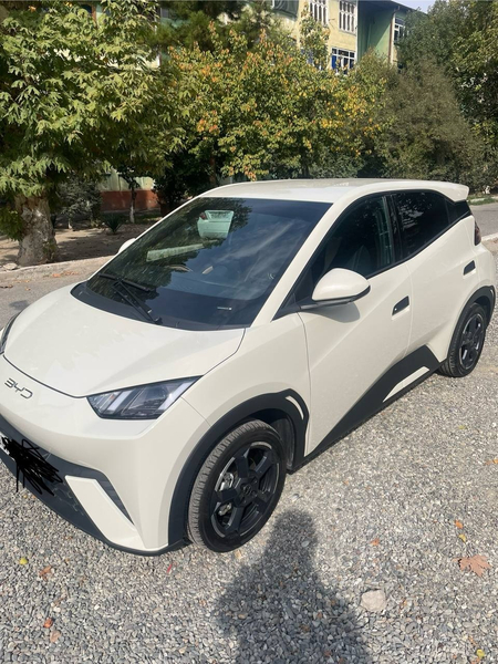BYD Seagull сотилади