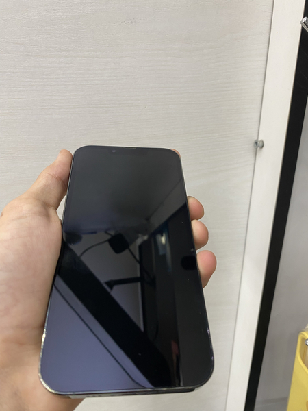 Iphone 13 pro.