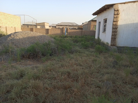 Qanaqa kafolat berish kerak