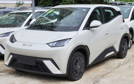 Byd seagull 2023 full (наличида бор)