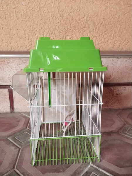 Qushlar uchun qafas Yangi!
