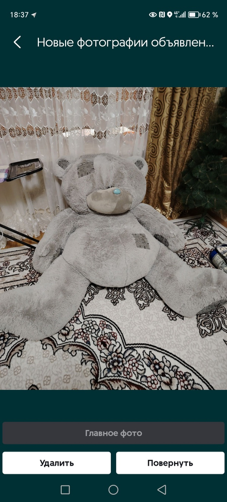 Teddy Ayiq sotiladi