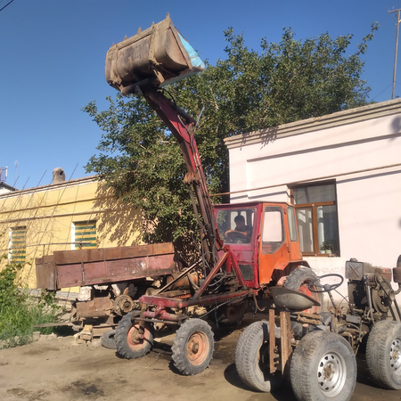 T 16 mg pagruchik
