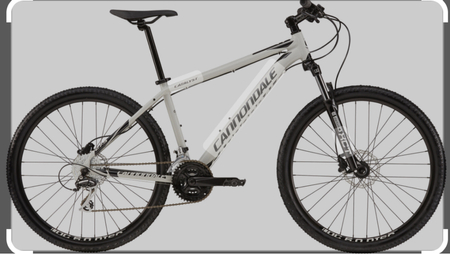 Sportivni velosiped cannondale