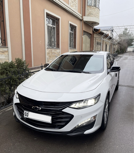 Rent car uzb boylab 24/7 arenda suxoy kunli