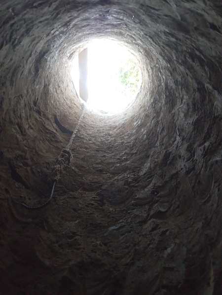 Urachi Toshkent boʻylab oʻrachi