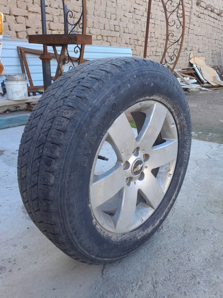 Kaptiva 1 balon R17