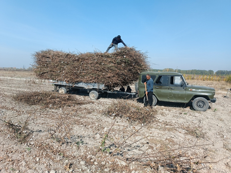 Uaz 2006 yil 4x4
