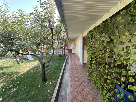 Sirochna sotilad