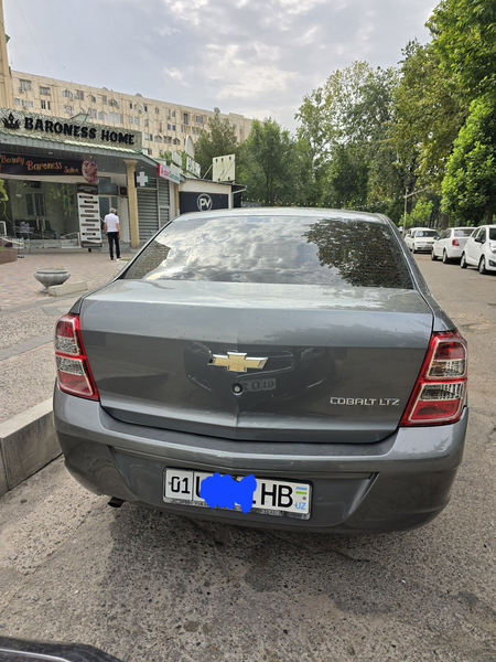 Cobalt ltz мокрый 2020