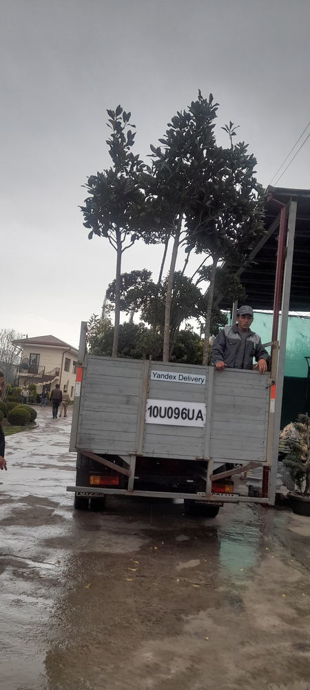 Yuk tashish xizmati 24/7