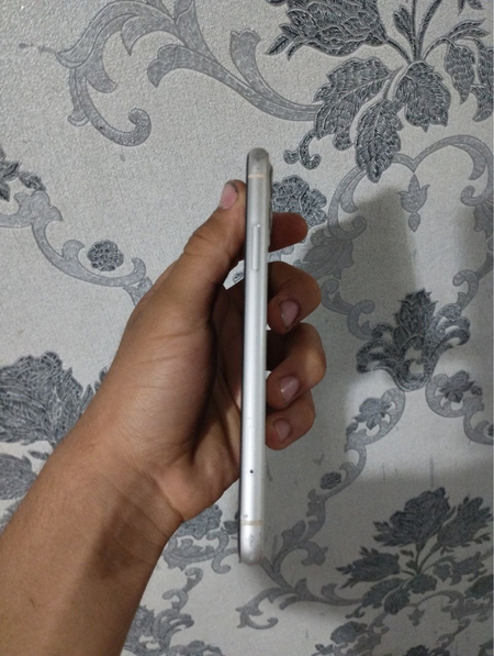 Iphone 11 aotiladi