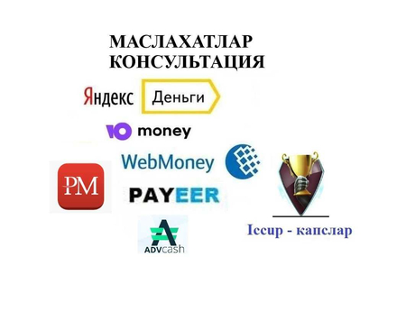 Профессионал маслахатлар Webmoney, Консультация по оплаты и переводам