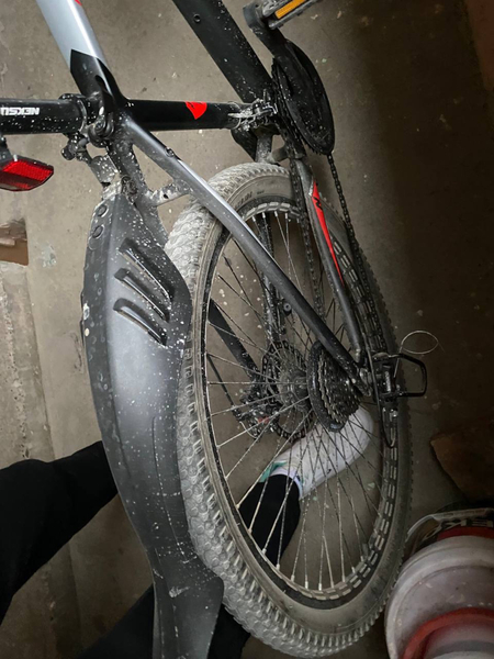 Velosiped Neksus