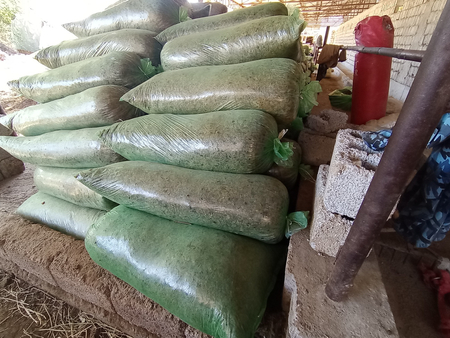 Selos sotladi 700 somdan qoplik