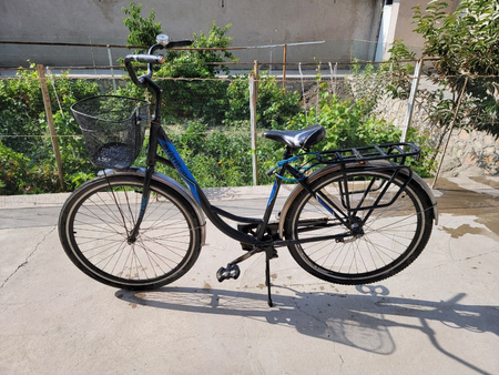 Velik v xoroshem sostoyanie