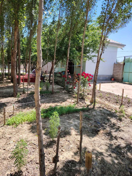 Uchastka sotiladi
