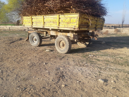 Traktor Belarus 82