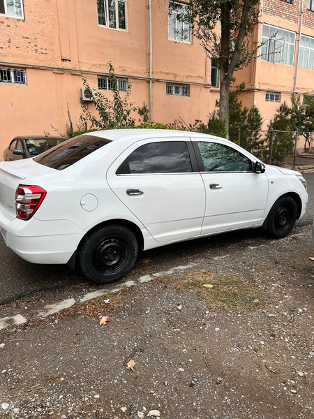 Kobalt yaxshi xolatda