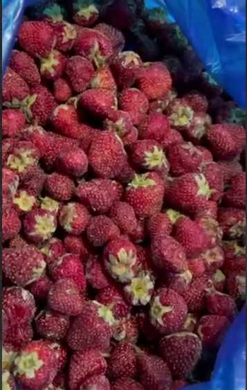 Замороженные Фрукты