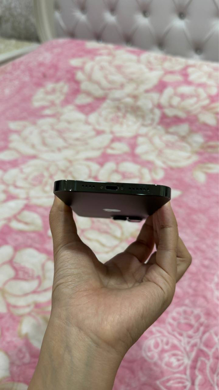 Iphone 13 pro max green