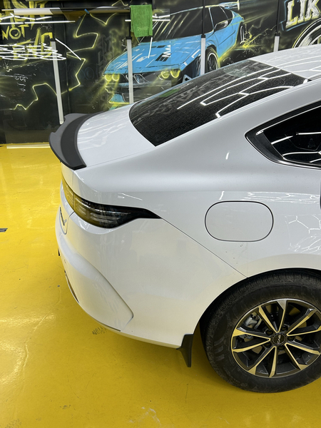 Byd chazor Спойлер Богажника Spoler