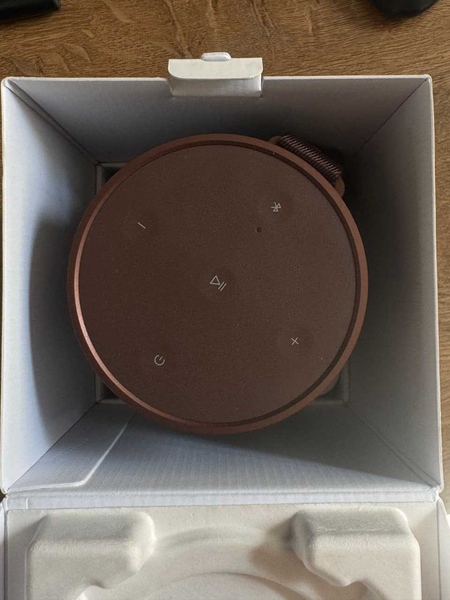 колонка BANG & OLUFSEN