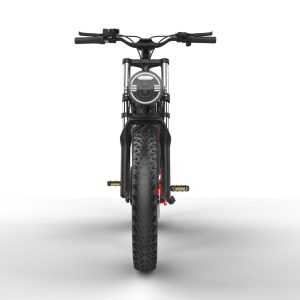 elektro bike на заказ