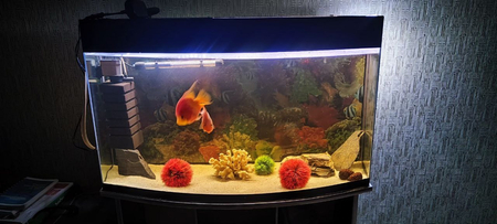 200 litrli akvarium