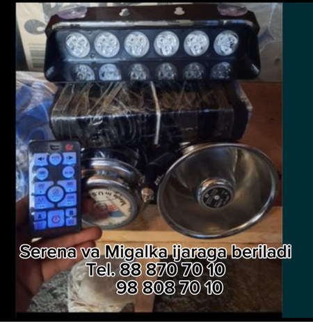 Serena ijaraga beriladi