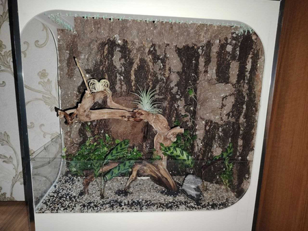 Палюдариум продам