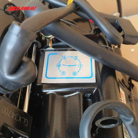 Двигатель Lifan WOLF-200 (163ml-2m) Водяного охлаждения для Трицикла