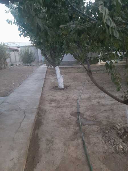 10 sotixli xovli 10 ta xona