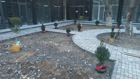 Dokon magazin arendaga beriladi