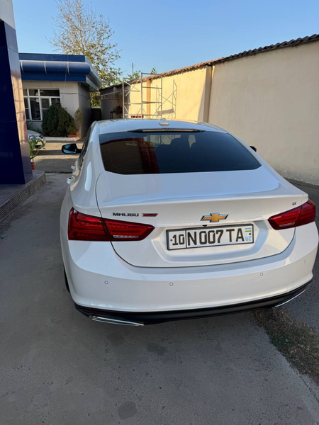 Malibu 2 . 2.4 . Kraska toza