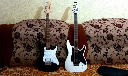 Продаю Электрогитарау 
Schecter Sun Valley Super Shredder FRS

Корпус