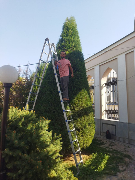 Арча кесиш дорилаш иккиш кучириш хизмати