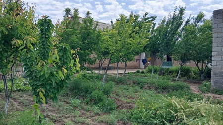 Dala hovli sotiladi