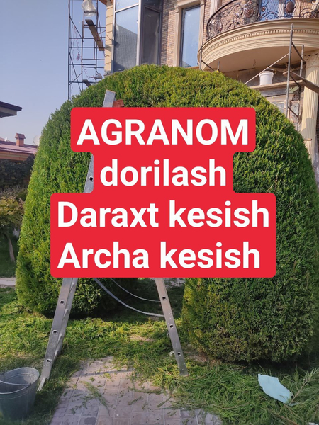 Archa archa ekish kesish