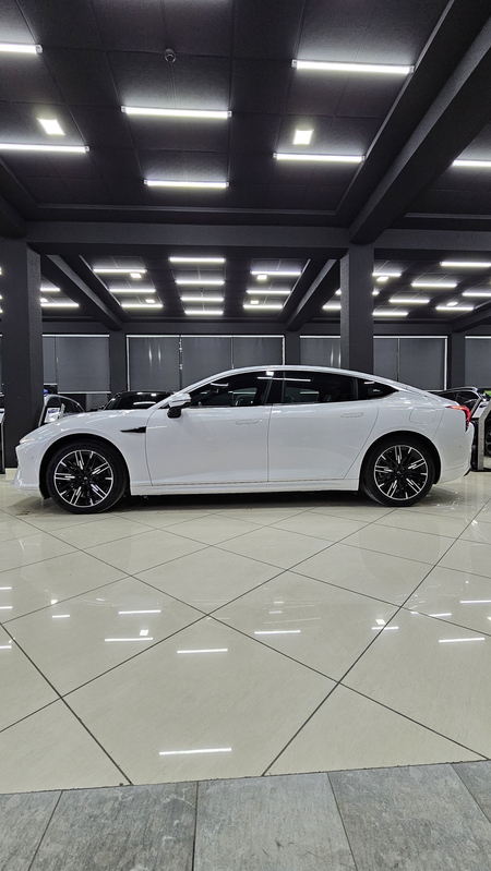 HOZON neta s hybrid
