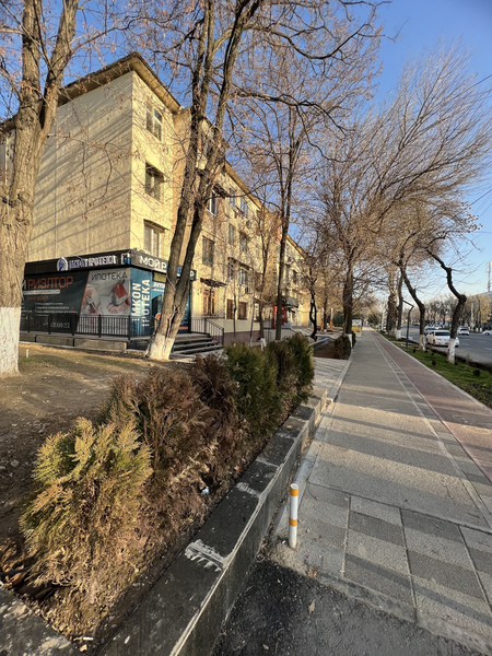 Продаётся готовый офис с готовым арендатором