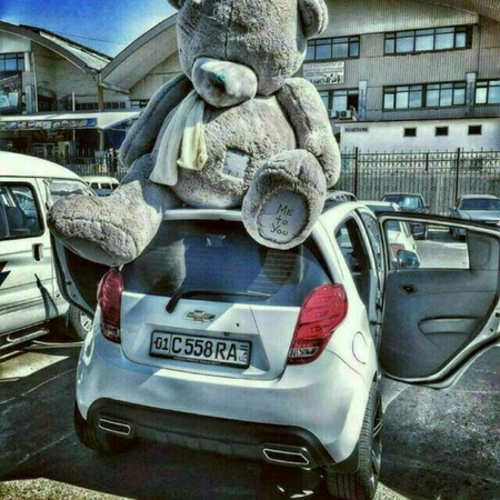 Teddi 1+1 Teddy Aksiya Eng Arzon Narxda