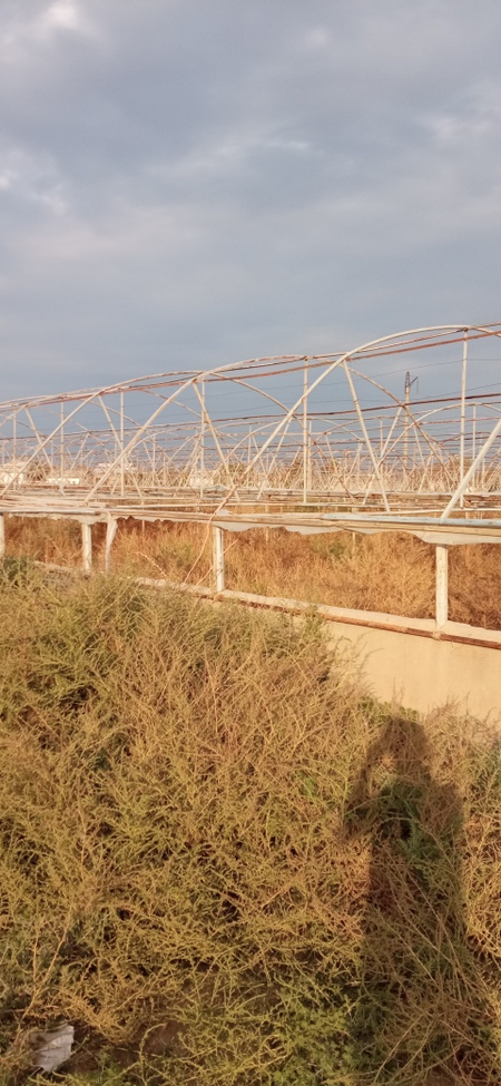 продается парник