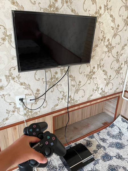 Dacha qoronqul oylaviy