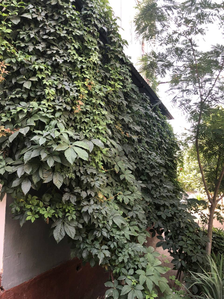 kavartira sotiladi